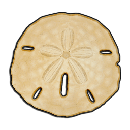 Sand Dollar